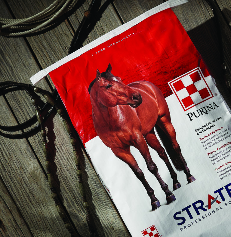 CBX - Feeding Greatness